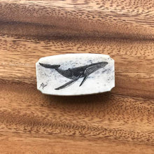 A Look Back at the History of Scrimshaw | Whaler's Locker