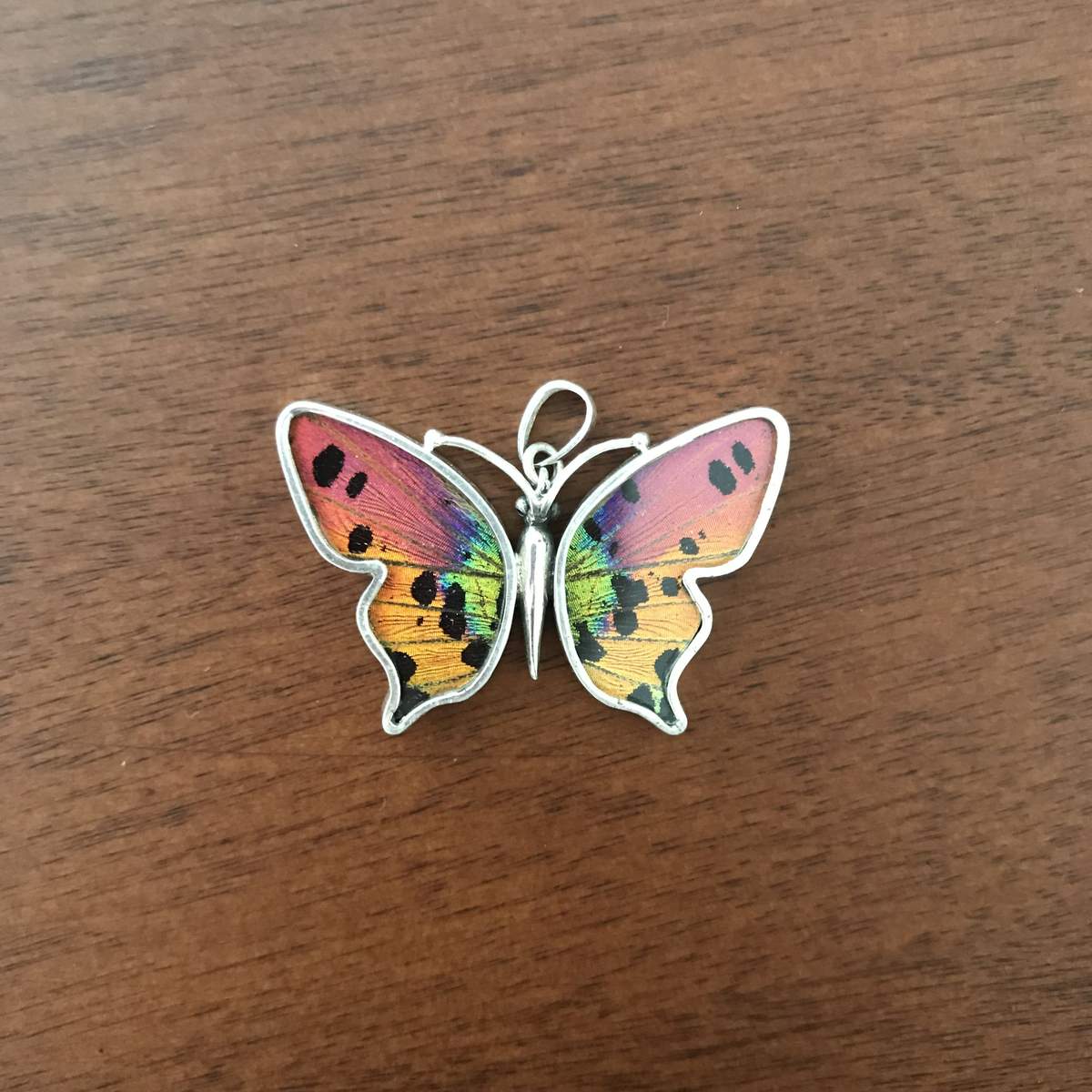 Top 5 Butterfly Wing Jewelry Pieces | Whaler's Locker