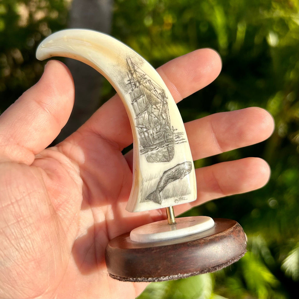Scrimshaw Collectables