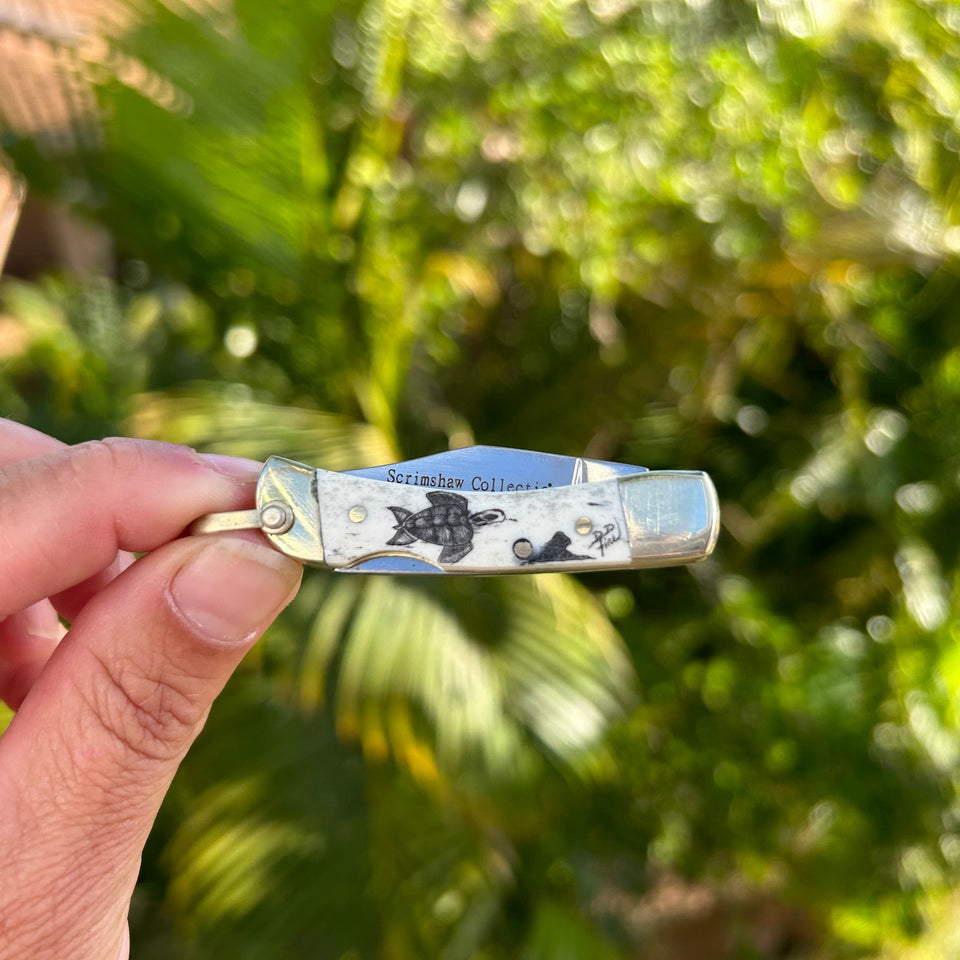 Derek Fine Scrimshaw Keychain Knife | Whaler's Locker