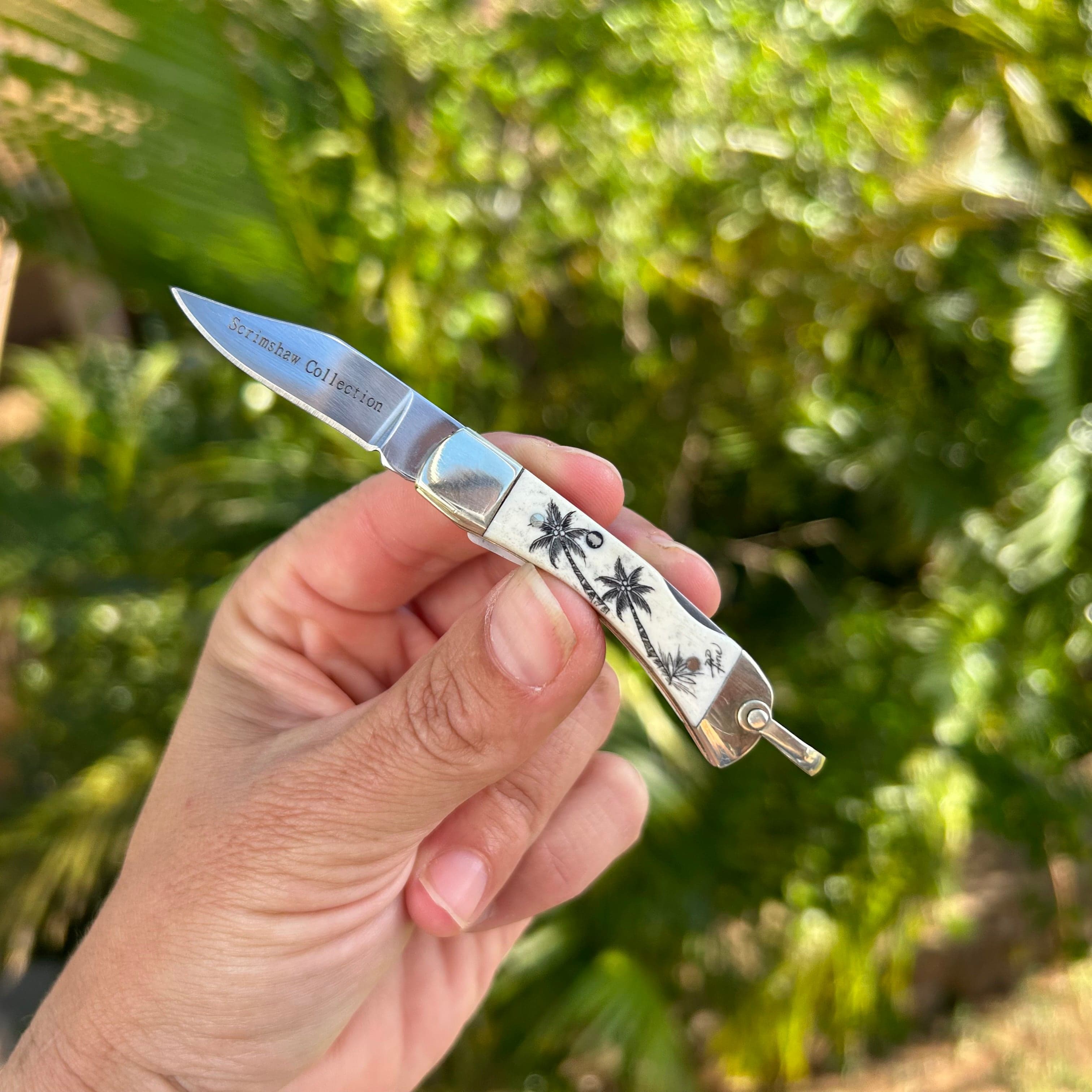 Derek Fine Scrimshaw Keychain Knife | Whaler's Locker