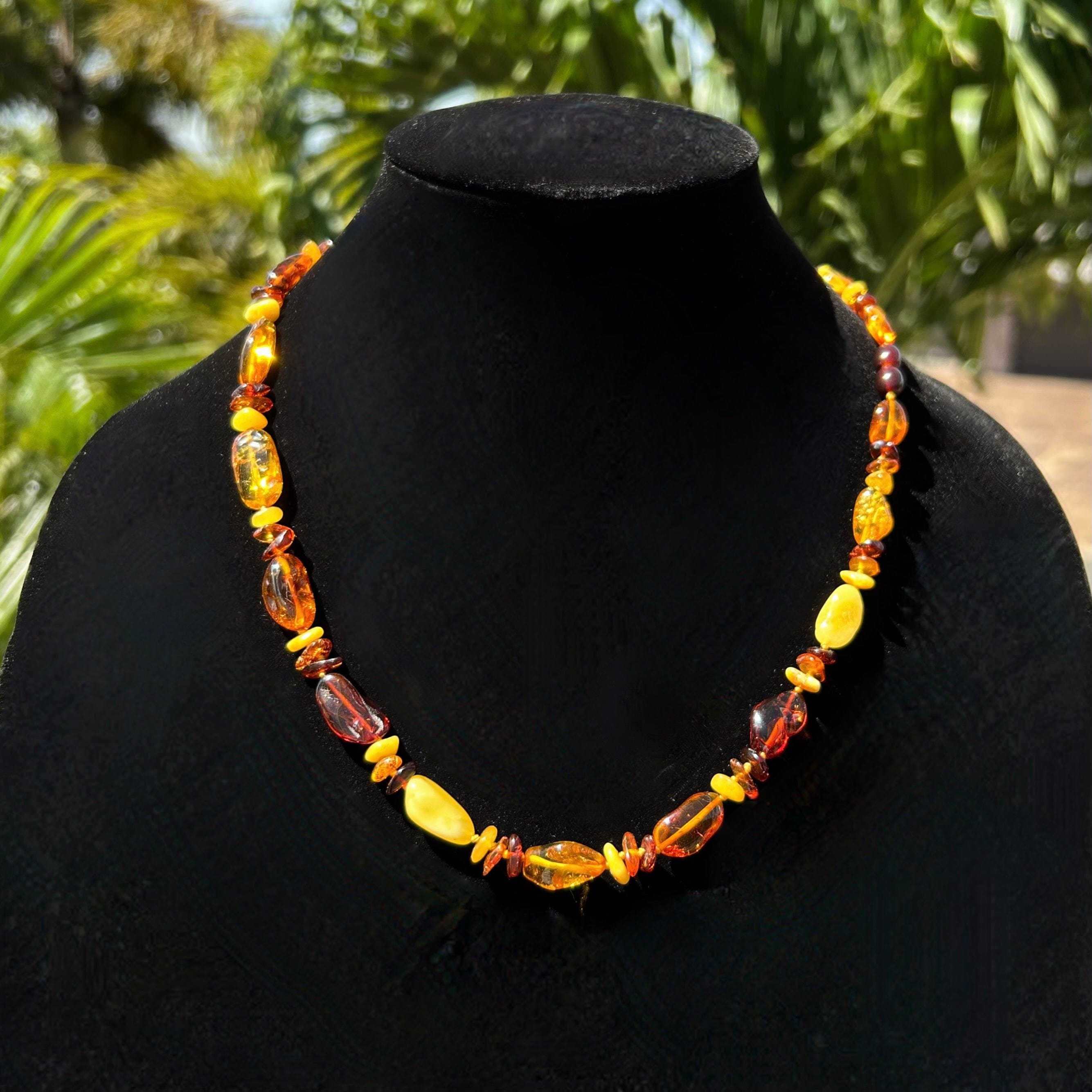 22" Baltic Amber Necklace | Whaler's Locker