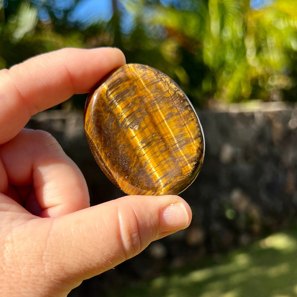Tiger Eye Worry Stone | Healing Crystal | Whaler's Locker